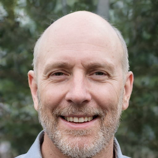 Anthony Alberti, Auteur à L'Or et l'Argent